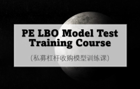 LBO Model - Majojor